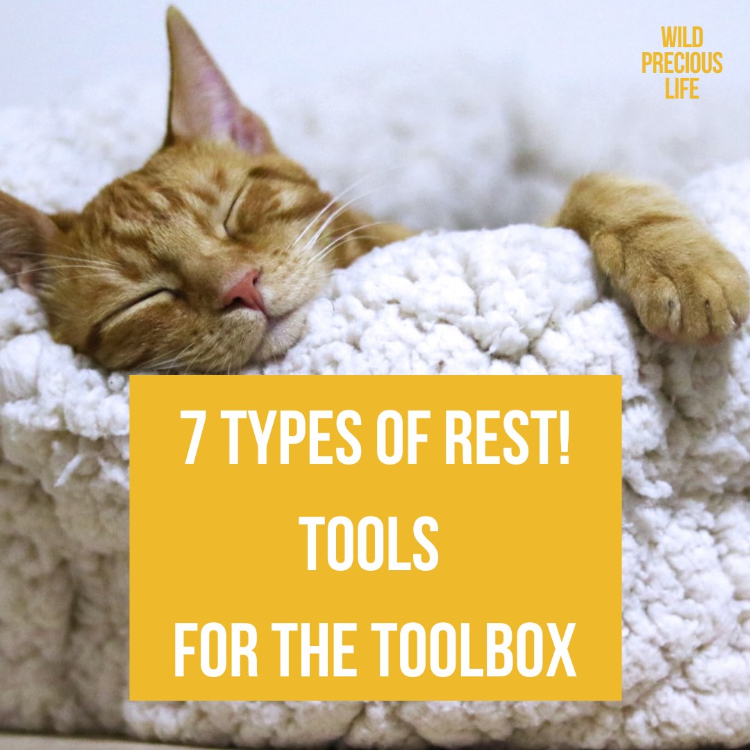 Unlock the Power of Rest: Discover the Seven Types You Need - A Wild ...