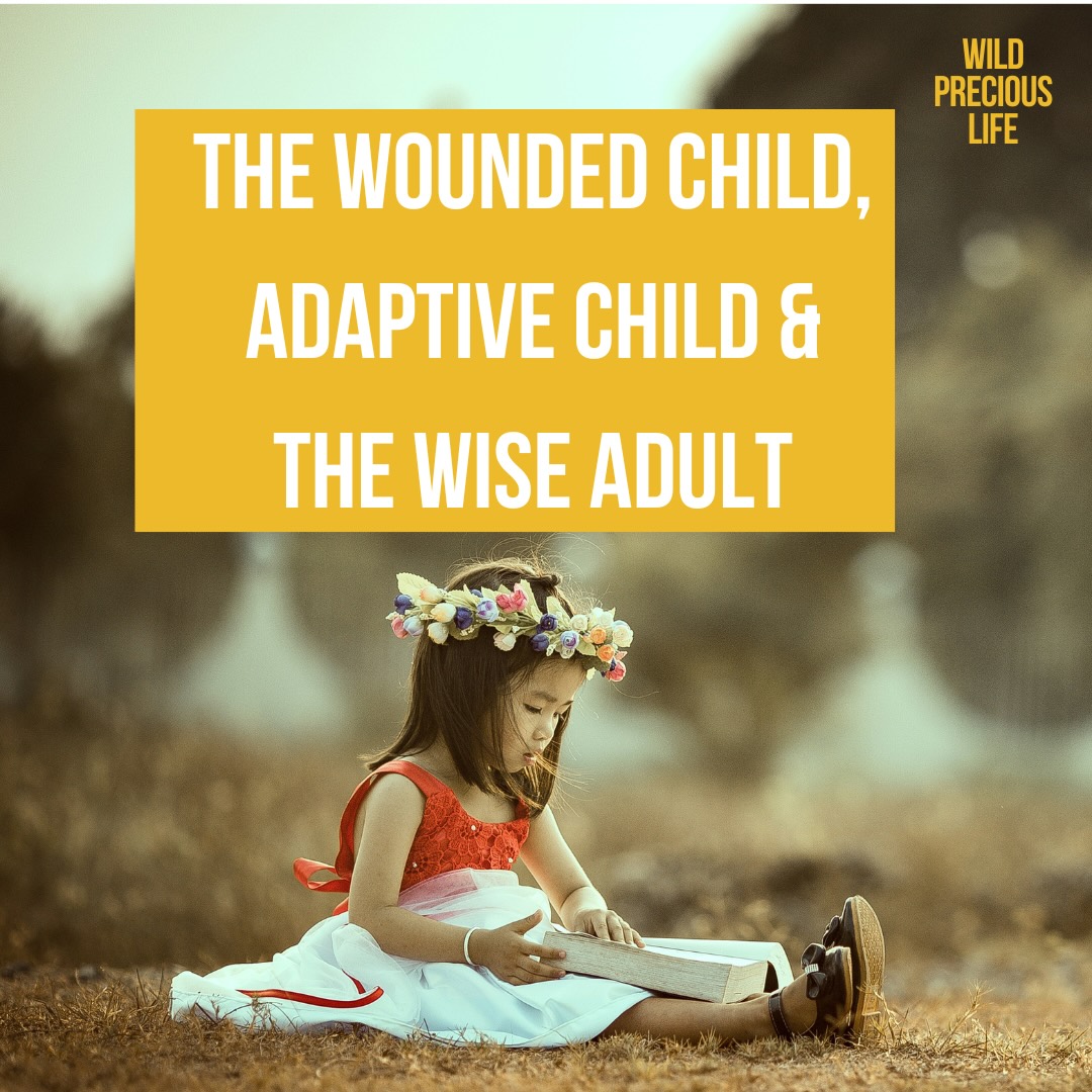 Wounded Child, Adaptive Child and the Wise Adult - A Wild Precious Life ...