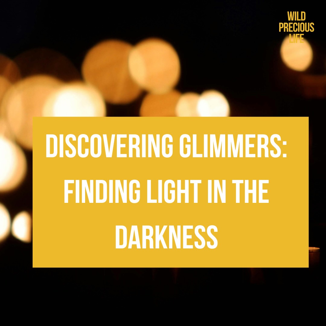 Discovering Glimmers: Finding Light in the Darkness - A Wild Precious ...
