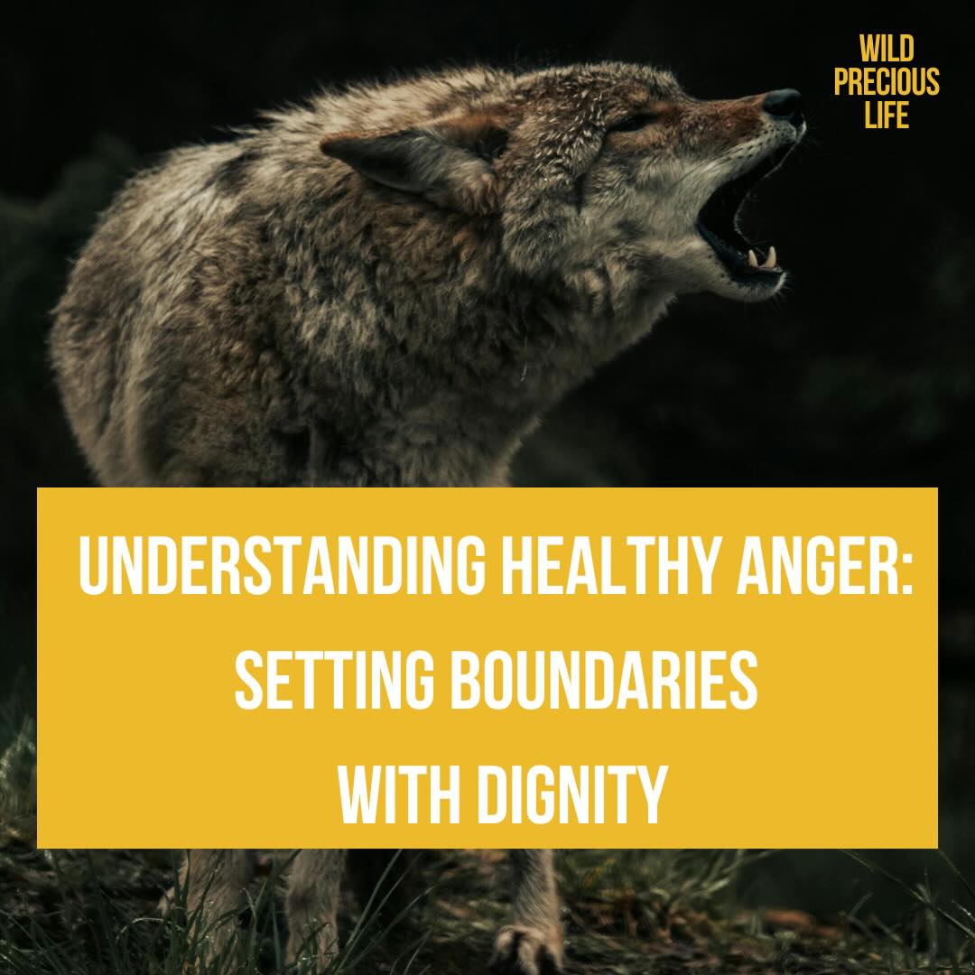 Understanding Healthy Anger: Setting Boundaries with Dignity - A Wild ...